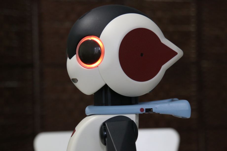 4 Things You Can Do With Robi! - AspirantSG - Food, Travel, Lifestyle ...