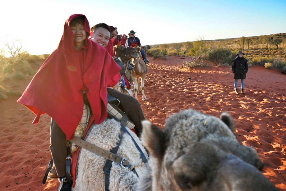 Uluru Camel Ride To Sunrise - Great Outback Expedition On Gentle Giants