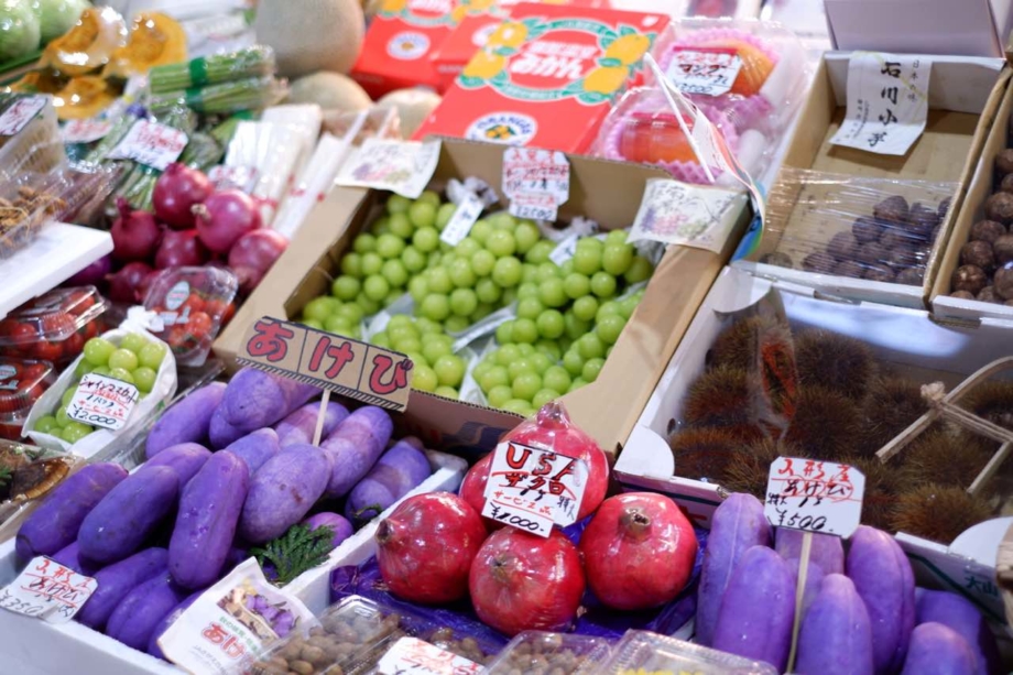 SHORYUDO Bus Pass Japan Part 2 – Visit Toyama, Takaoka & Kanazawa