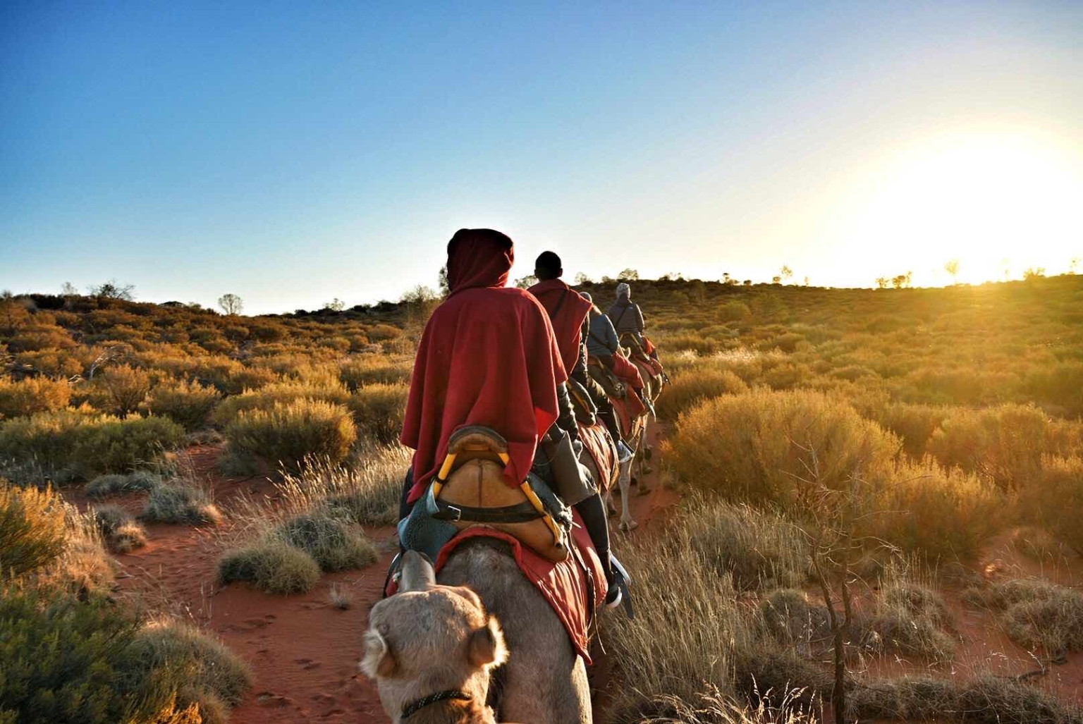 Uluru Camel Ride To Sunrise - Great Outback Expedition On Gentle Giants