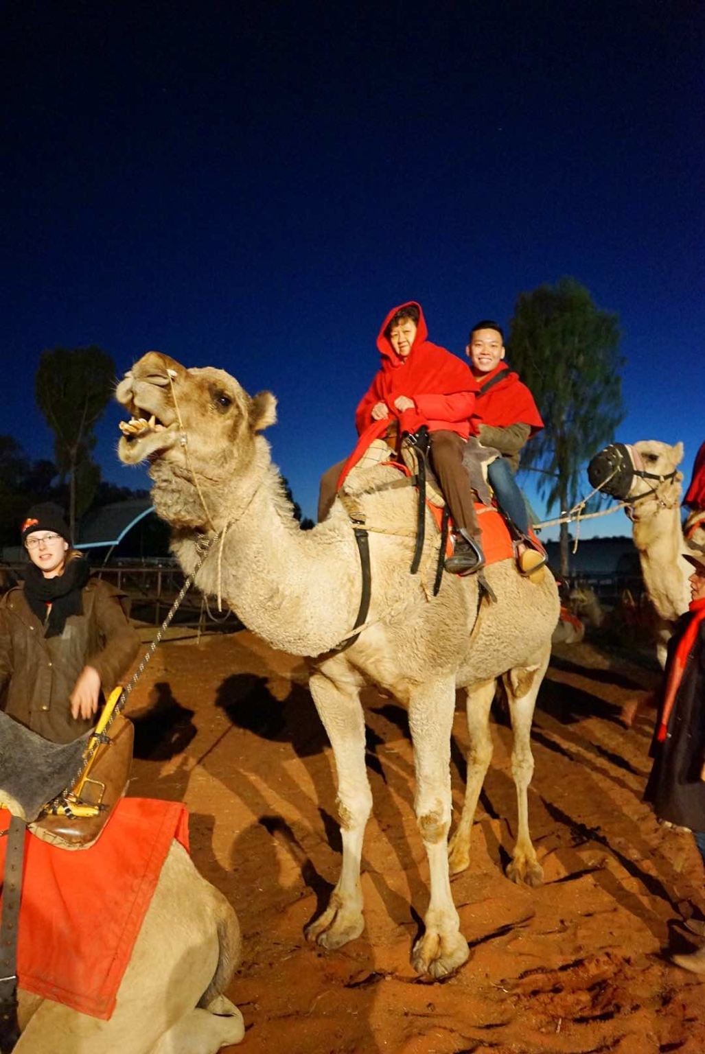 Uluru Camel Ride To Sunrise - Great Outback Expedition On Gentle Giants