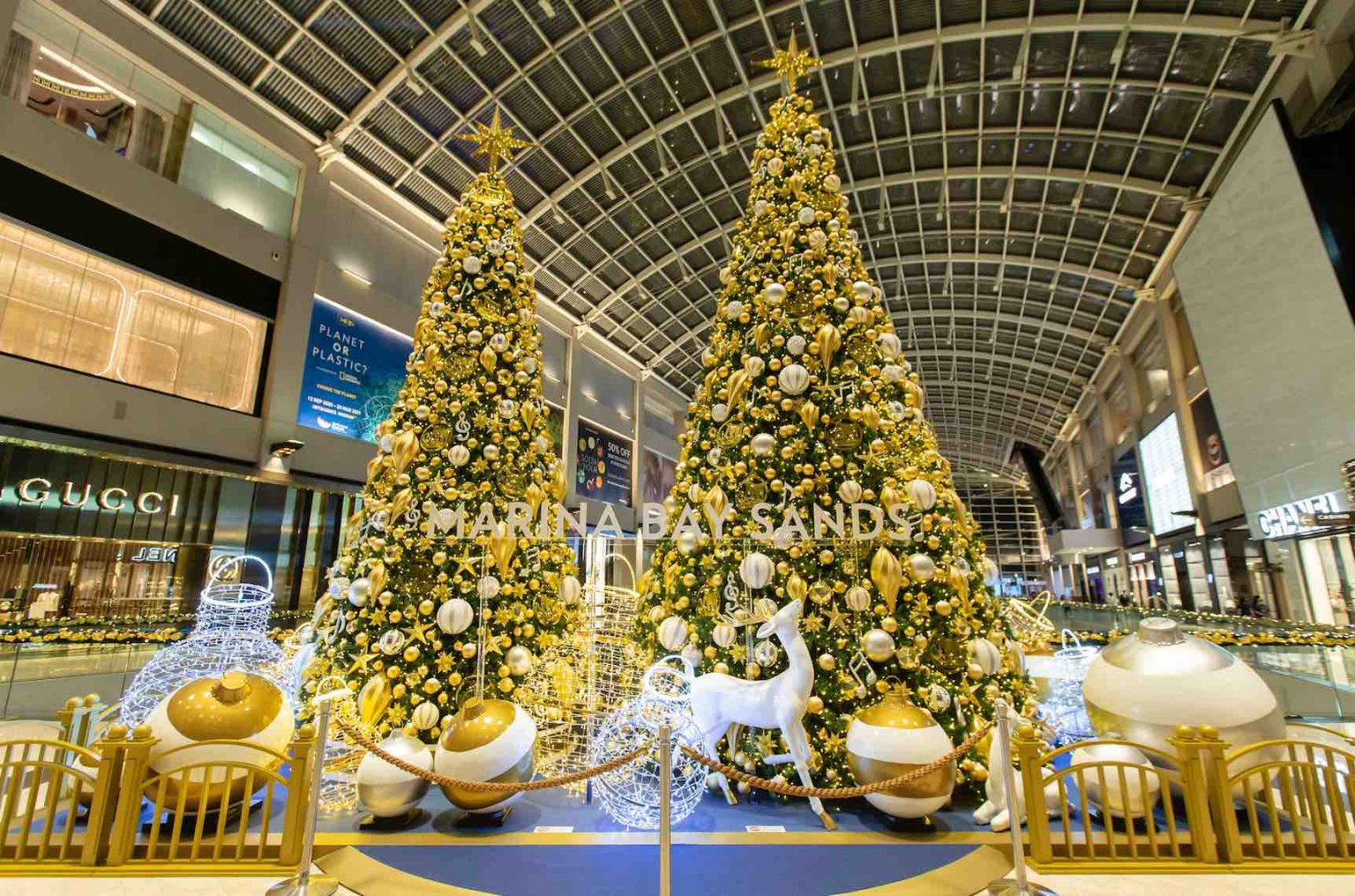 MBS 10th Anniversary Celebratory Light Up & Joyous Festive Offerings