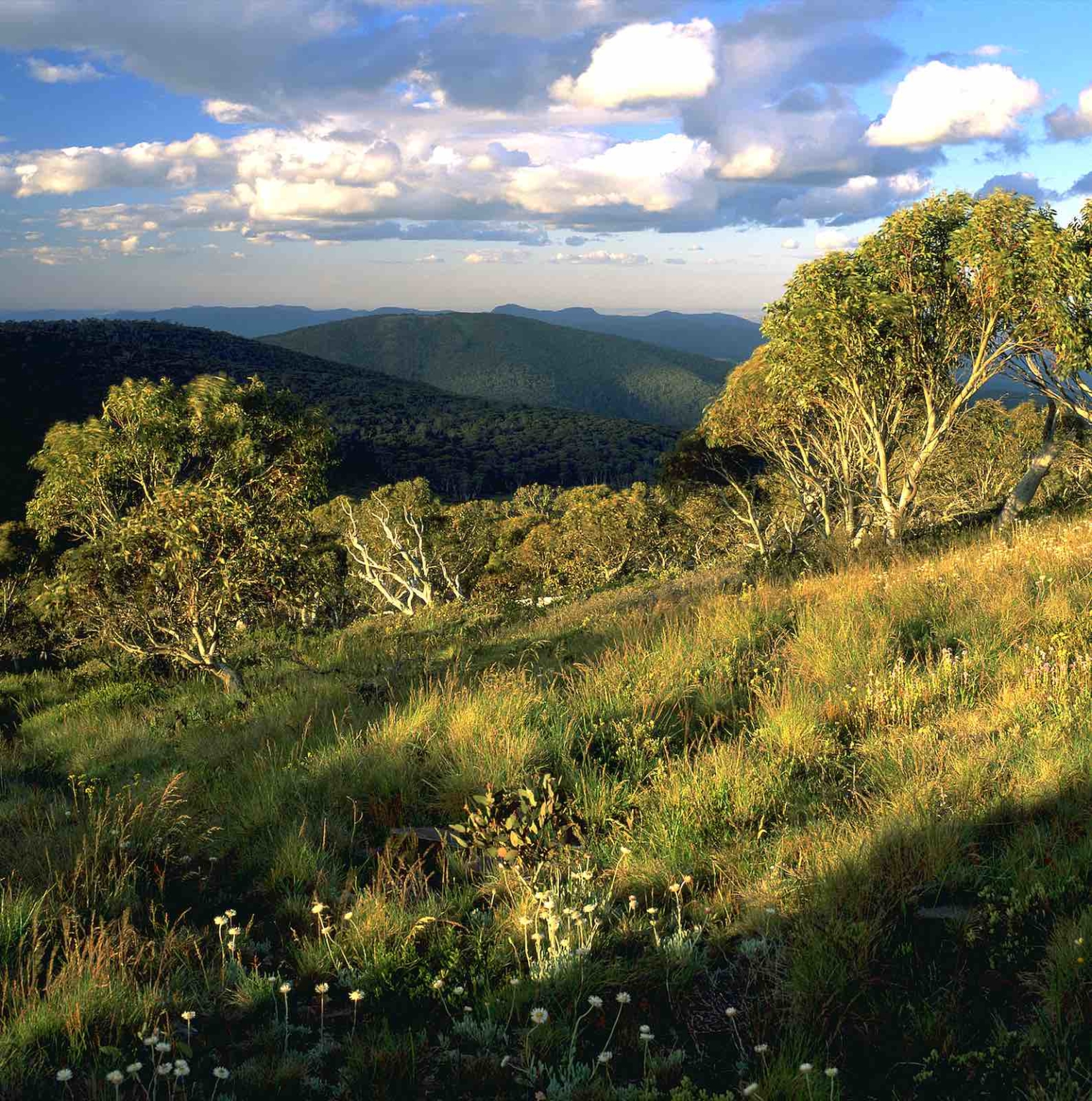 Canberra Best Hikes - Five Of The Best Hikes Around Australia’s Capital