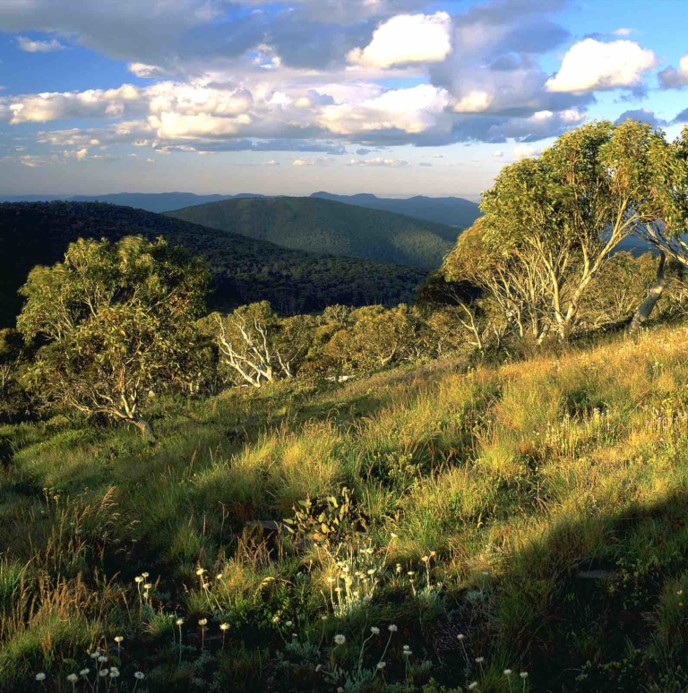 Canberra Best Hikes - Five Of The Best Hikes Around Australia’s Capital