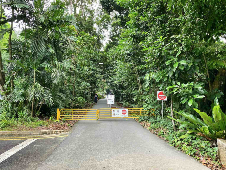 Bukit Timah Nature Reserve - Explore Singapore Hidden Nature Gem