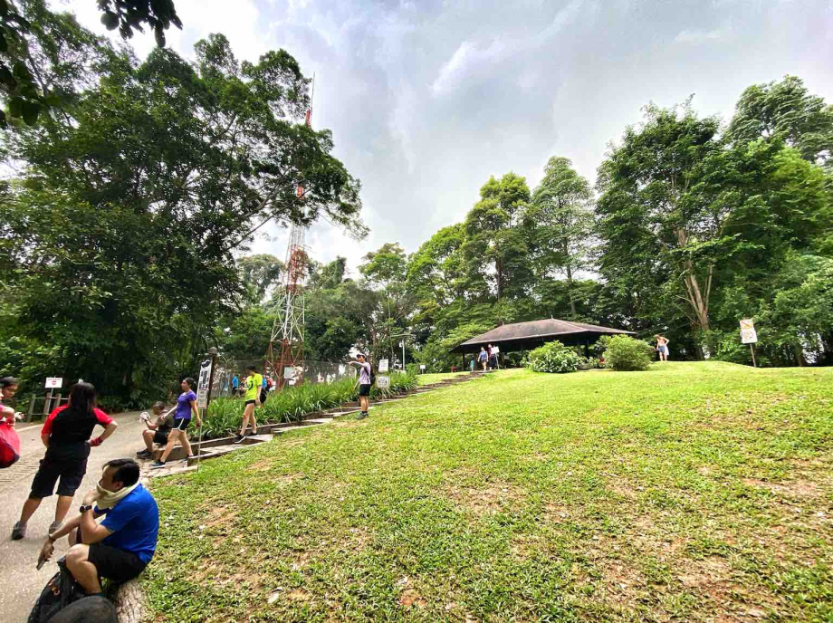 Bukit Timah Nature Reserve - Explore Singapore Hidden Nature Gem