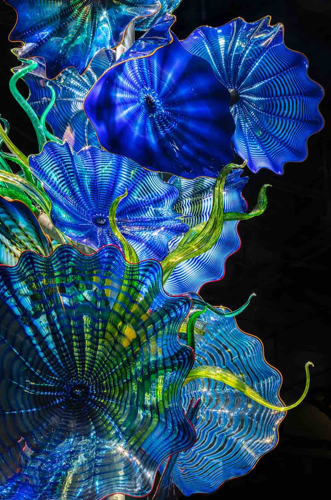 Dale Chihuly Glass In Bloom - First Major Garden Exhibition In Singapore