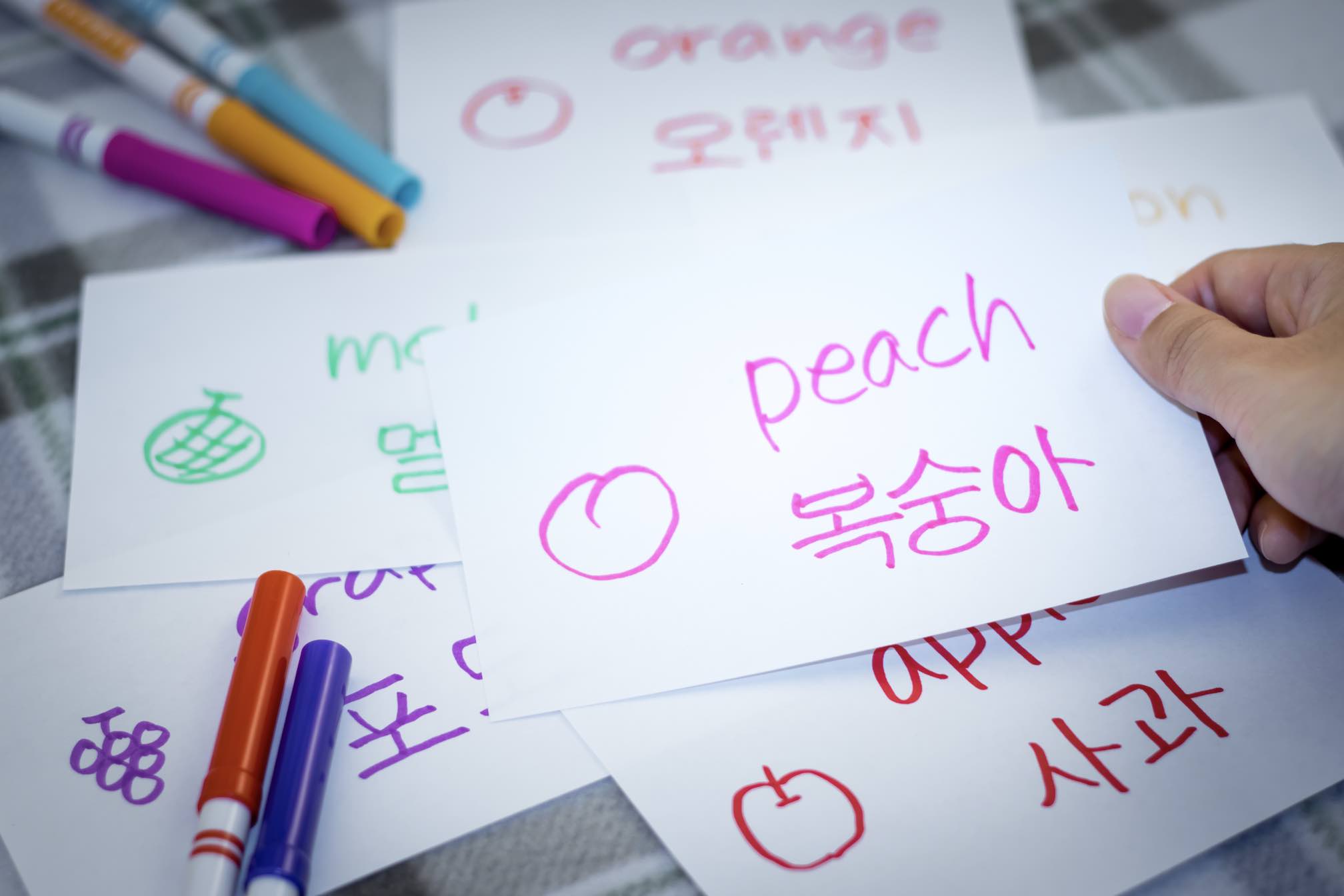 A Beginner’s Guide To Learning The Korean Language
