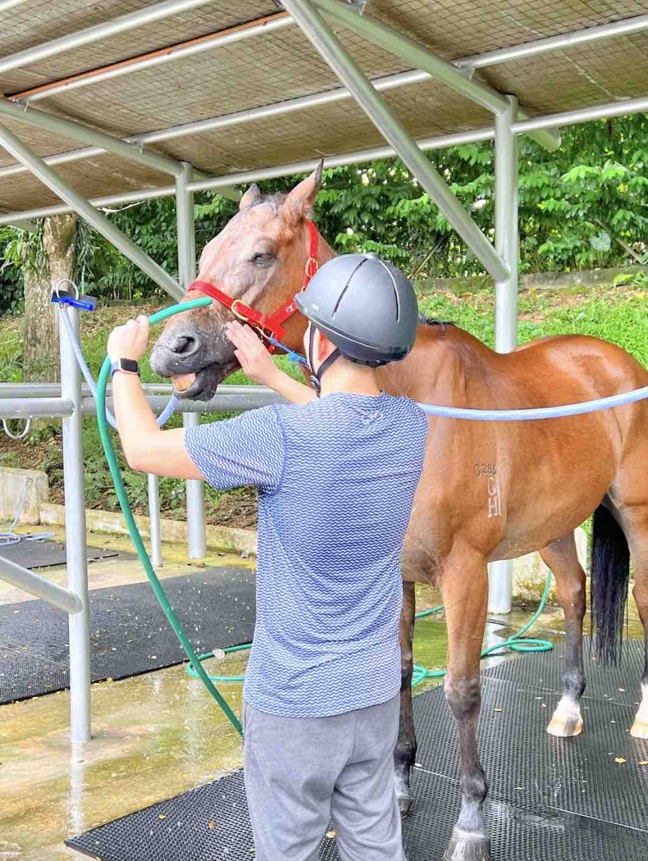 Absolute Newbie Horse Riding Experience At Singapore Turf Club Riding ...