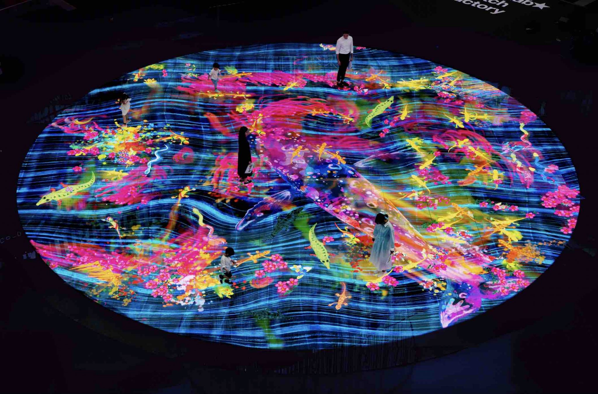ArtScience Museum Digital Light Canvas & Future World Refreshed