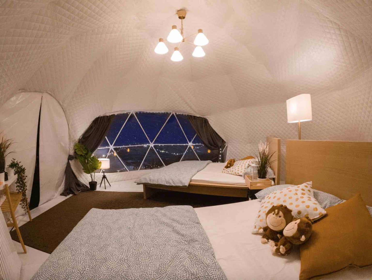 Ubersnap Use GIFs To Encourage SOSD Dog Adoption Singapore