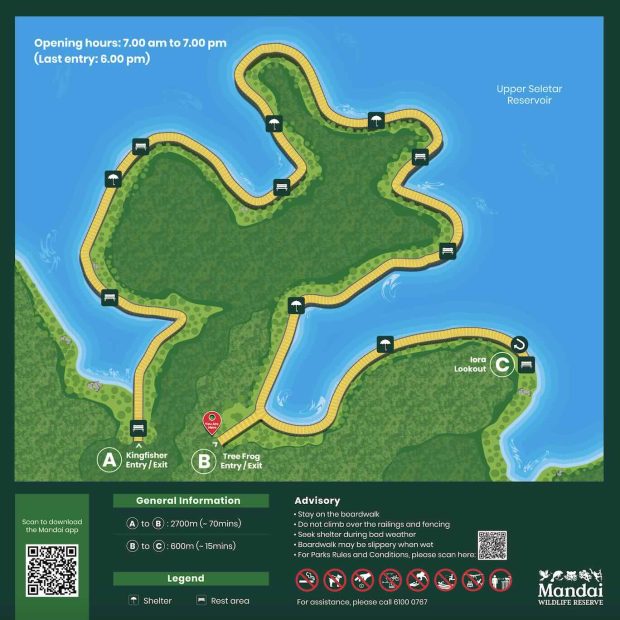 Mandai Boardwalk: Singapore’s Stunning New Nature Escape