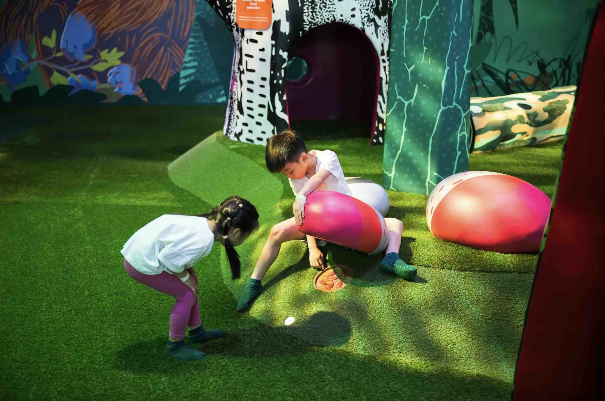 Curiosity Cove Mandai: Singapore's Biggest Indoor Nature Playscape