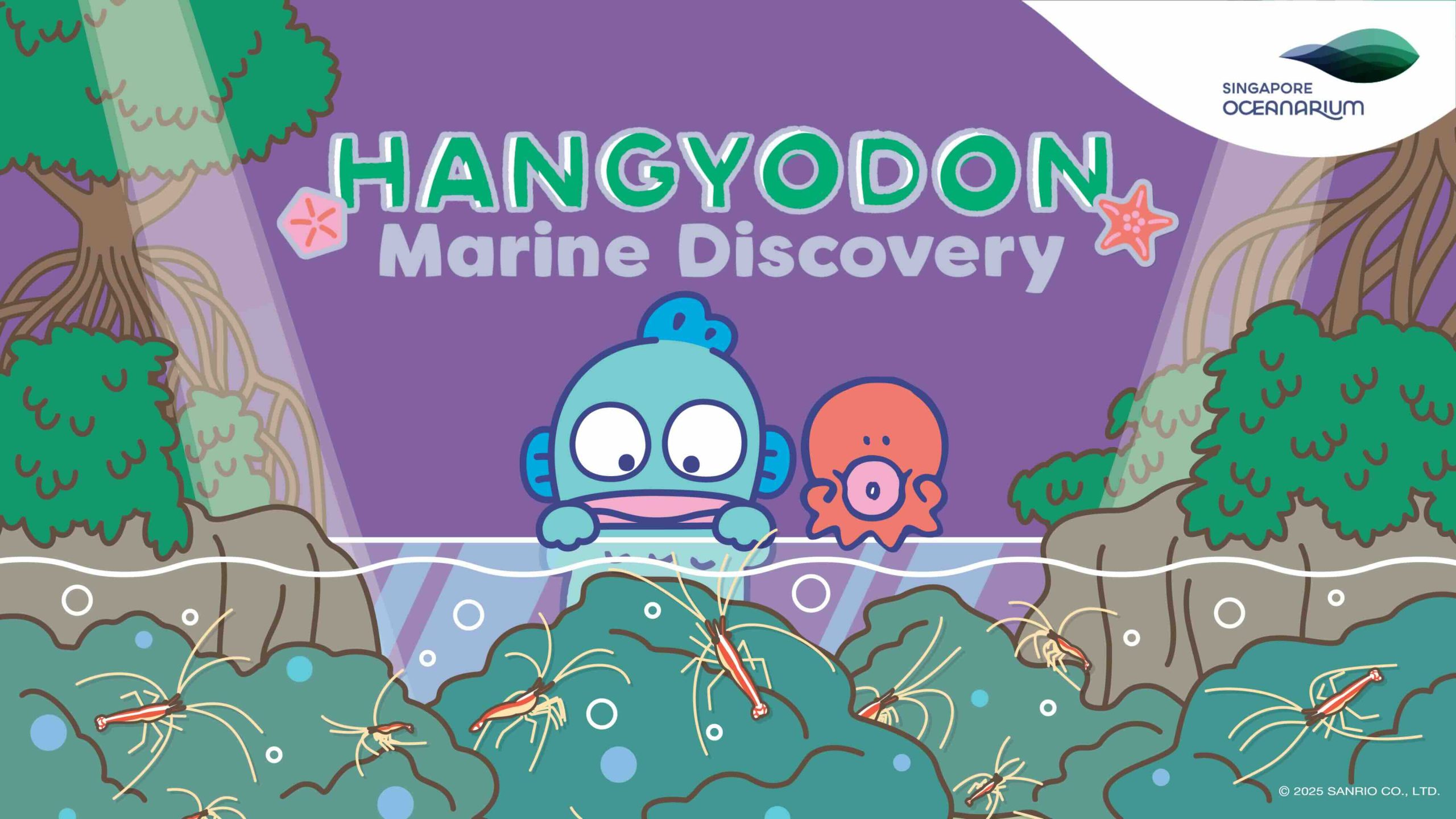 Hangyodon Marine Discovery Beckons At Singapore Oceanarium